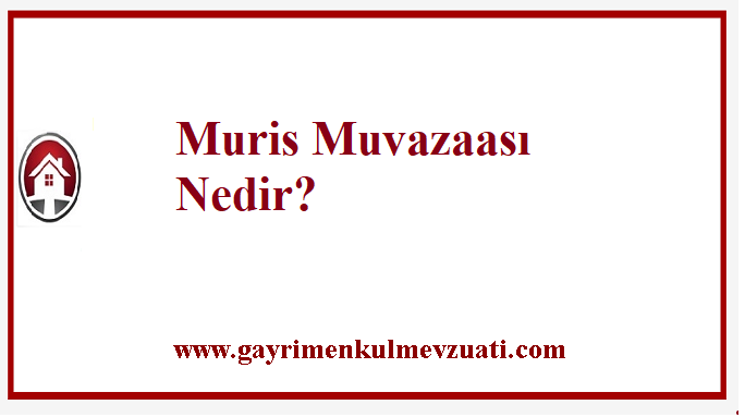 Muris Muvazaası Nedir? - Gayrimenkul Mevzuati